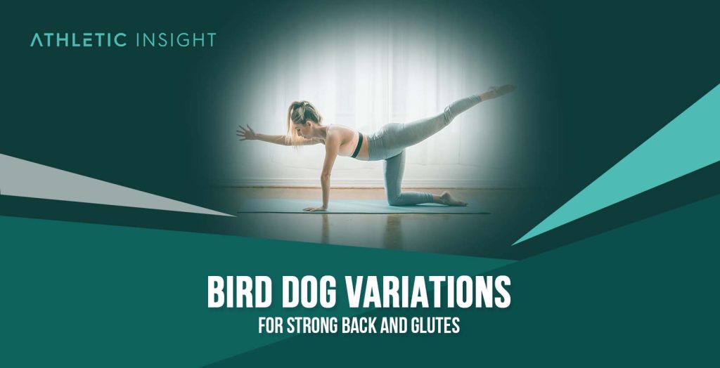 Bird Dog Variations for Strong Back and Glutes - Athletic Insight