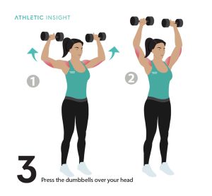 How to do Arnold Press: Variations, Proper Form, Techniques, Dumbbell ...