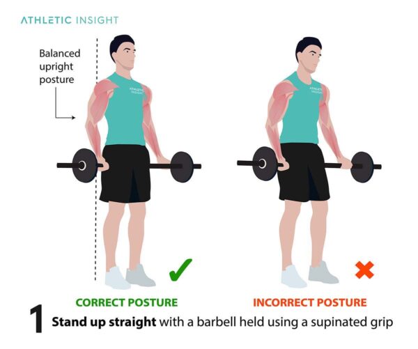 How to Do Barbell Curl: Variations, Proper Form, Techniques, Barbell - Athletic Insight