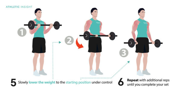 How to Do Barbell Curl: Variations, Proper Form, Techniques, Barbell ...