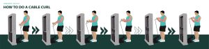 How to do Cable Curl: Variations, Proper Form, Techniques - Athletic ...