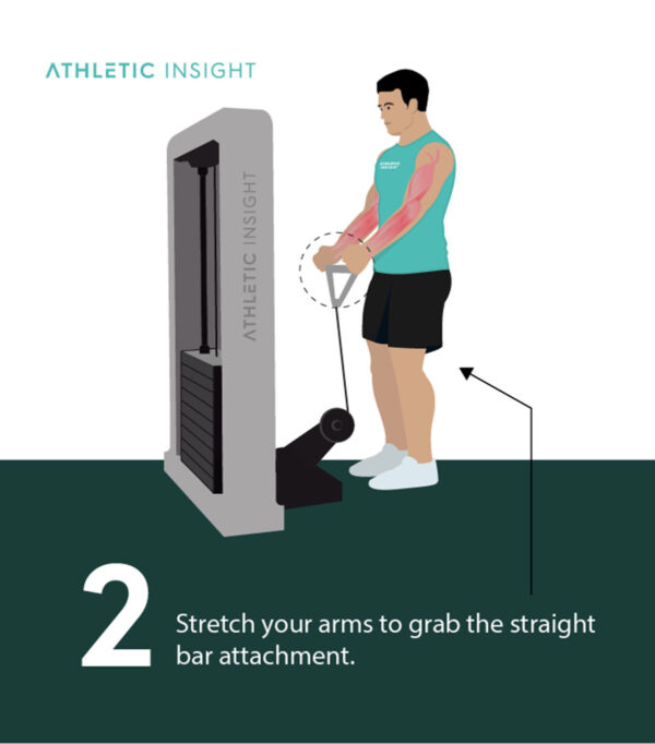 How to do Cable Curl: Variations, Proper Form, Techniques - Athletic ...