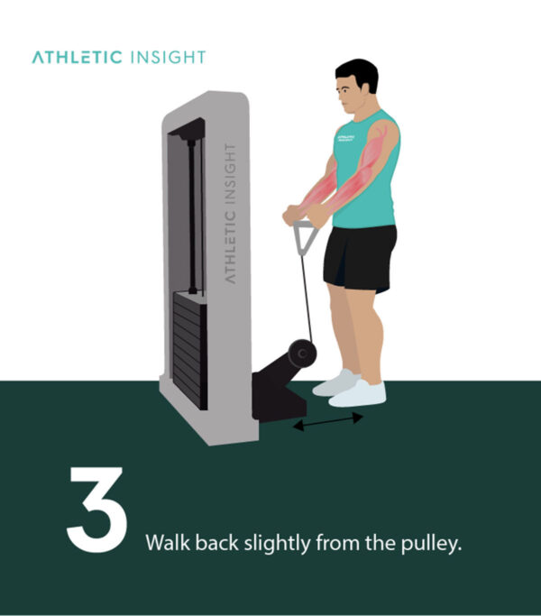 How to do Cable Curl: Variations, Proper Form, Techniques - Athletic ...