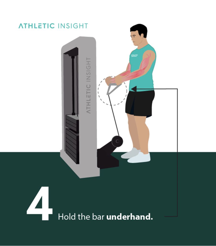 How to do Cable Curl: Variations, Proper Form, Techniques - Athletic ...