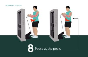 How to do Cable Curl: Variations, Proper Form, Techniques - Athletic ...