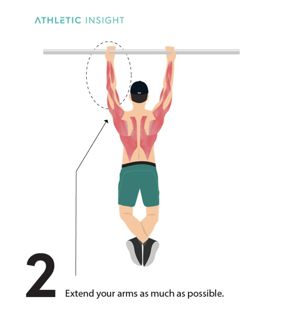 How to Do a Chin-Up: Variations, Proper Form, Techniques - Athletic Insight