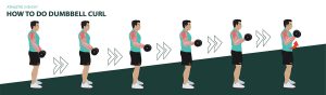 How to do Dumbbell Curl: Variations, Proper Form, Techniques, Dumbbell ...