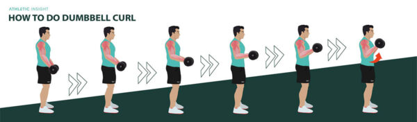 How to do Dumbbell Curl: Variations, Proper Form, Techniques, Dumbbell ...