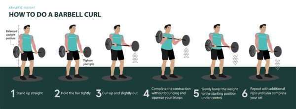 How to Do Barbell Curl: Variations, Proper Form, Techniques, Barbell ...