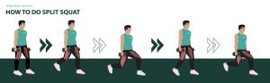 How to Split Squat: Variations, Proper Form, Techniques, Dumbbell ...
