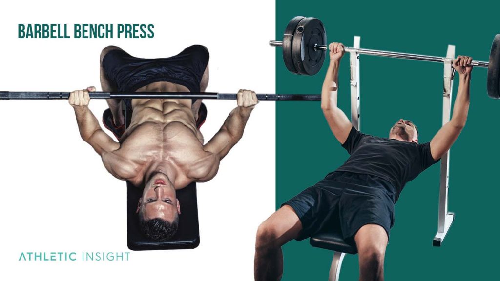 Best Chest Workout Exercises - Athletic Insight