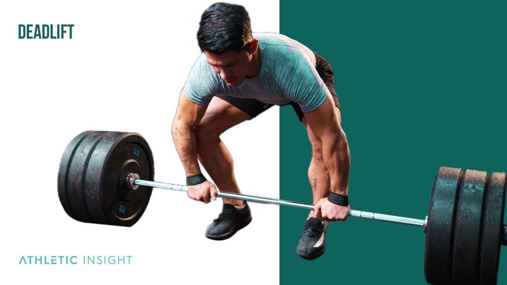 Best Back Workout Exercises - Athletic Insight
