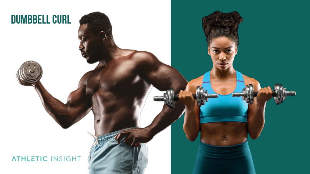 Best Biceps Workout Exercises - Athletic Insight