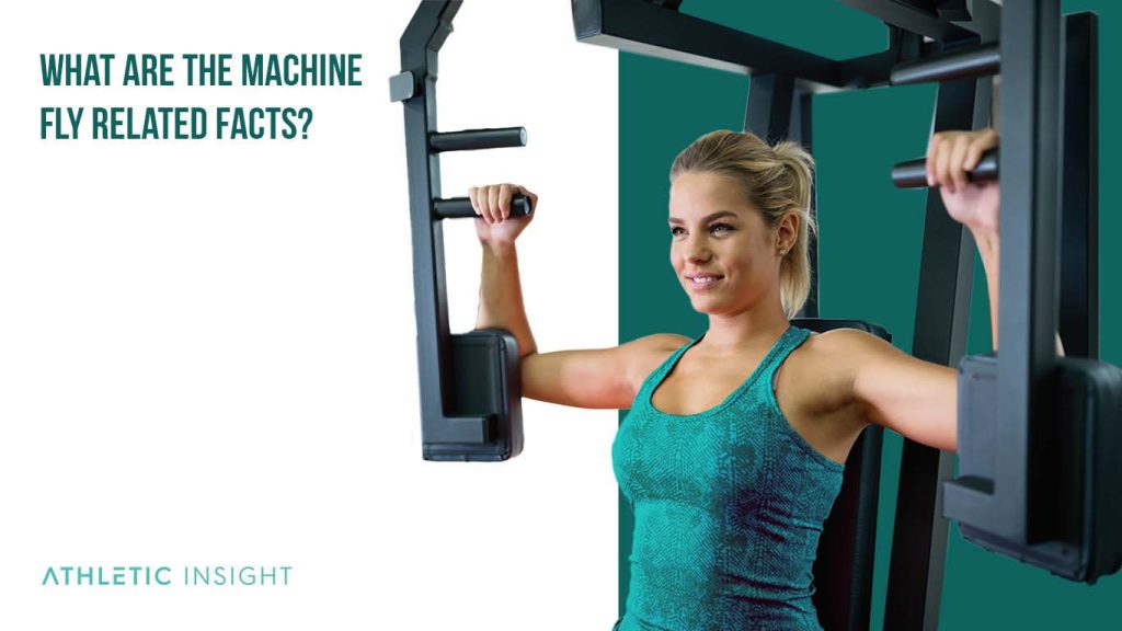 How to Perform Machine Fly: Variations, Proper Form, Techniques ...