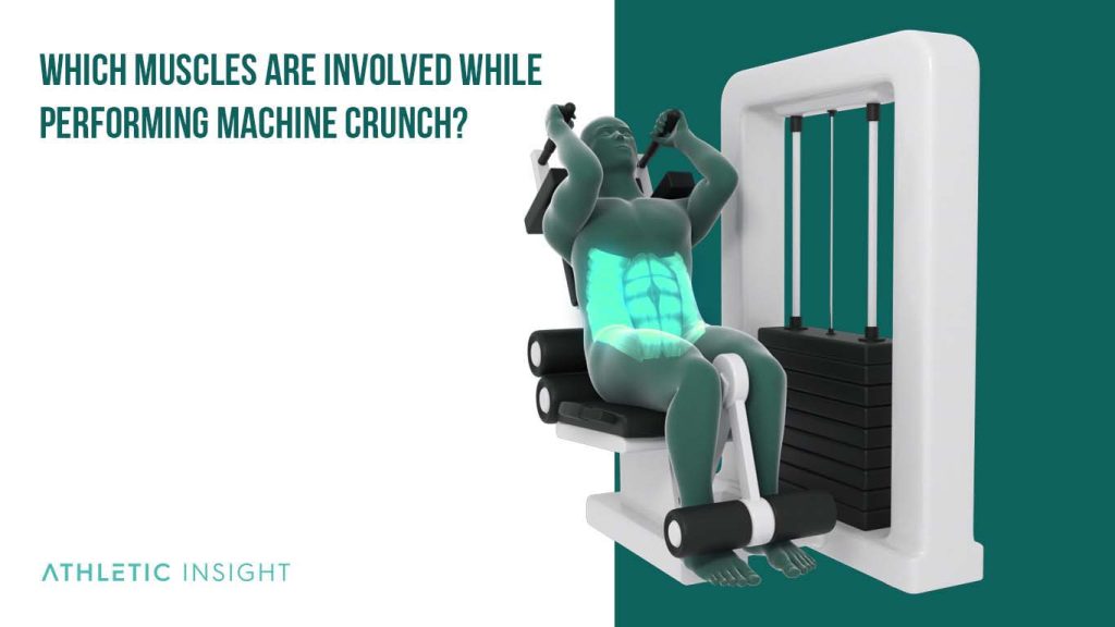 How to Do Machine Crunch: Variations, Proper Form, Techniques, Machine ...