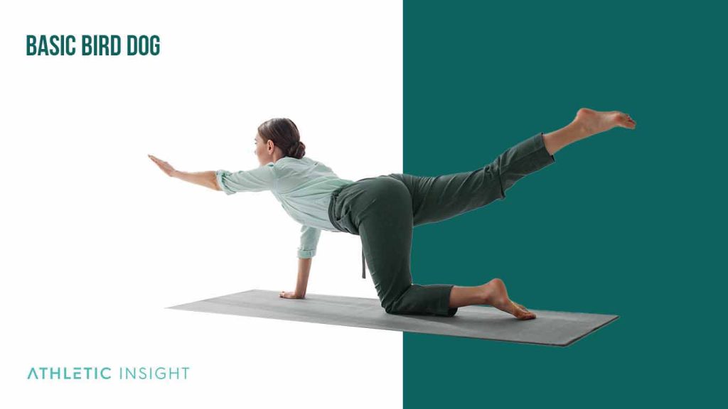 Bird Dog Variations for Strong Back and Glutes - Athletic Insight