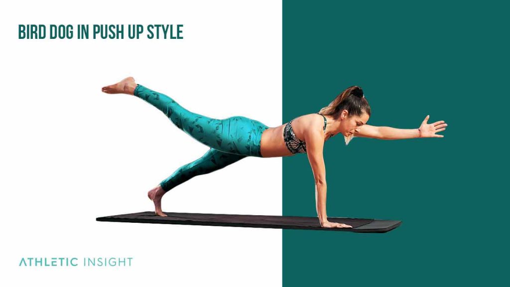 Bird Dog Variations for Strong Back and Glutes - Athletic Insight