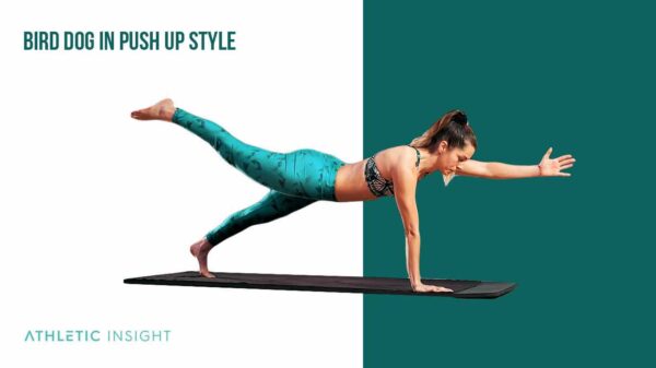 Bird Dog Variations for Strong Back and Glutes - Athletic Insight