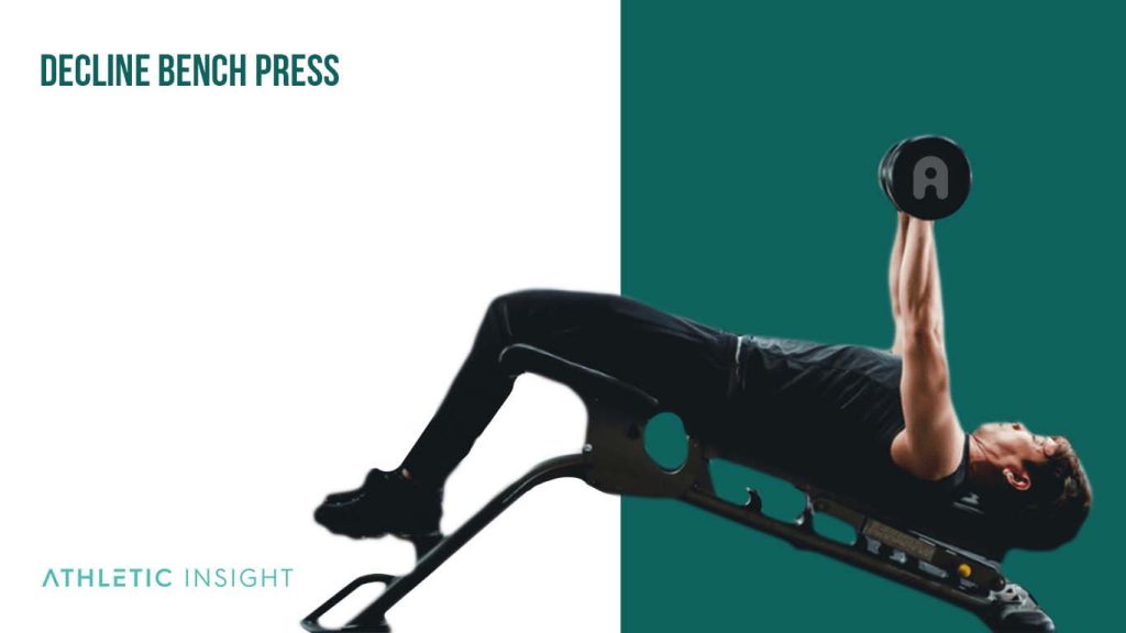 Barbell Bench Press Variations for Chest Muscles - Athletic Insight