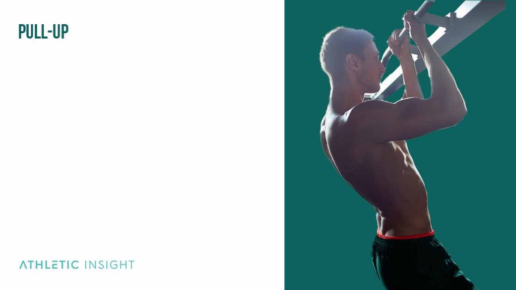 14 Best T-Bar Row Alternatives for Back, Muscle Growth, and Strength ...