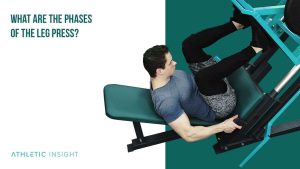 How to Leg Press: Variations, Proper Form, Techniques, Equipment ...