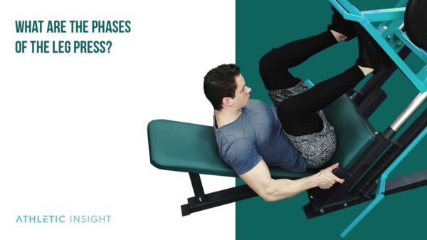 How to Leg Press: Variations, Proper Form, Techniques, Equipment ...