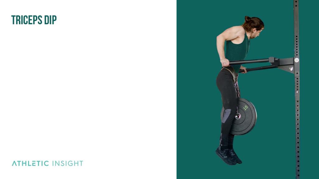 Best Tricep Workout Exercises - Athletic Insight