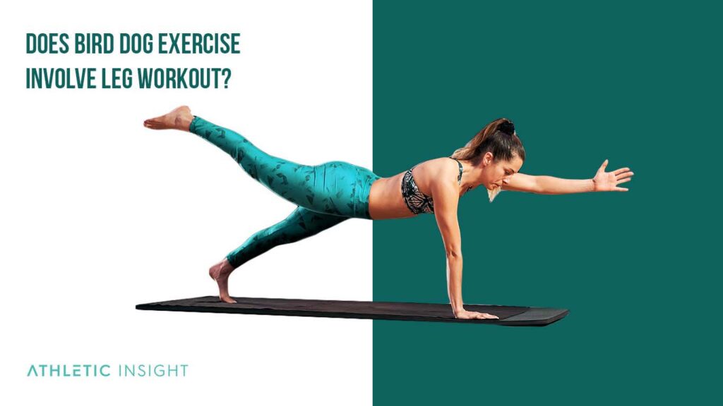 How to do Bird Dog Exercises: Benefits, Variations and Techniques - Athletic Insight