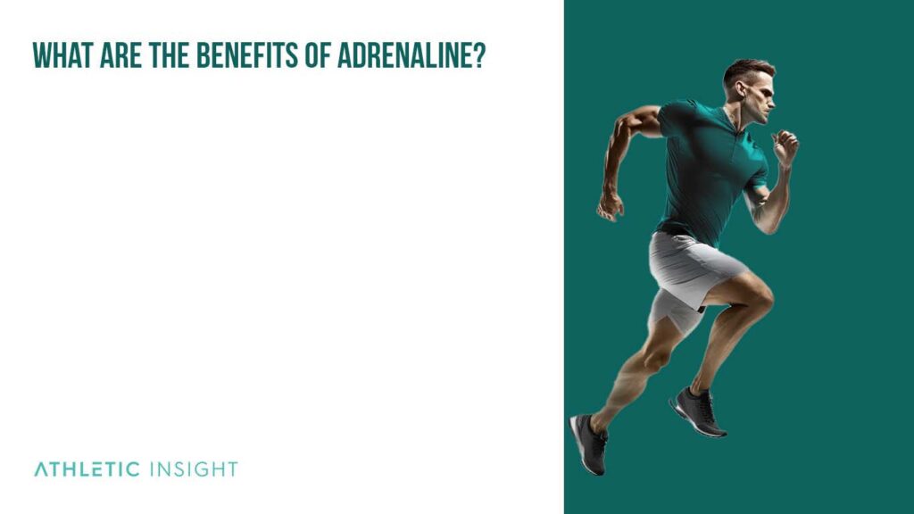 Adrenaline: Definition, Functions, Importance, and How to Trigger - Athletic Insight