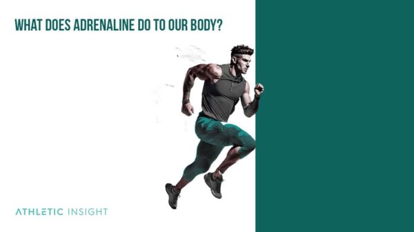 Adrenaline: Definition, Functions, Importance, and How to Trigger - Athletic Insight