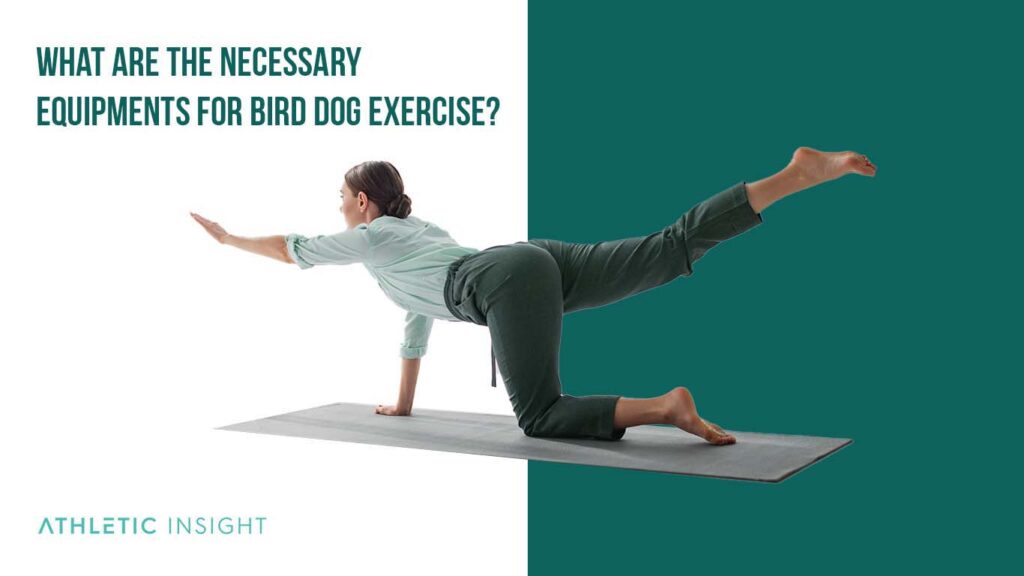 How to do Bird Dog Exercises: Benefits, Variations and Techniques ...