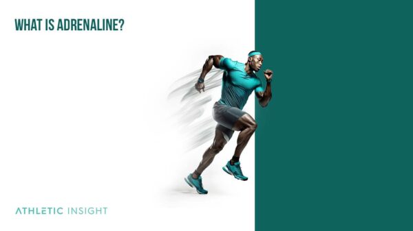 Adrenaline: Definition, Functions, Importance, and How to Trigger ...