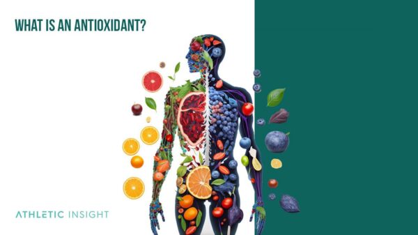 What Is an Antioxidant? What Do Antioxidants Do to Your Body ...