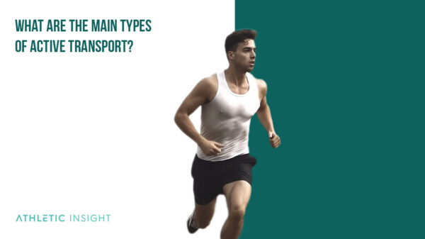 Active Transport: What Does It Mean? - Athletic Insight