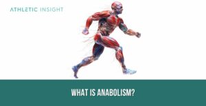 Anabolism: Definition, How it Works, Importance, Stages, and Effects ...