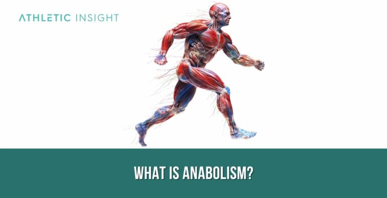 Anabolism: Definition, How it Works, Importance, Stages, and Effects ...
