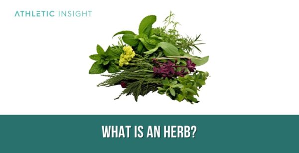 Herb: Definition, Types, Benefits, Uses and Forms - Athletic Insight