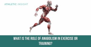 Anabolism: Definition, How it Works, Importance, Stages, and Effects ...