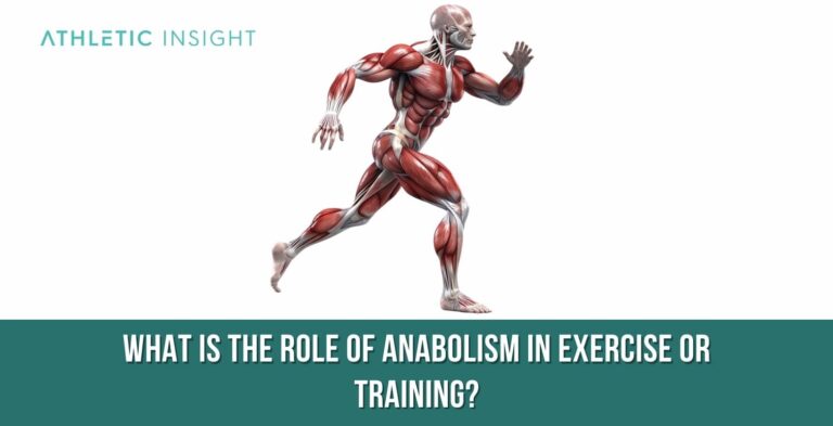 Anabolism: Definition, How it Works, Importance, Stages, and Effects ...