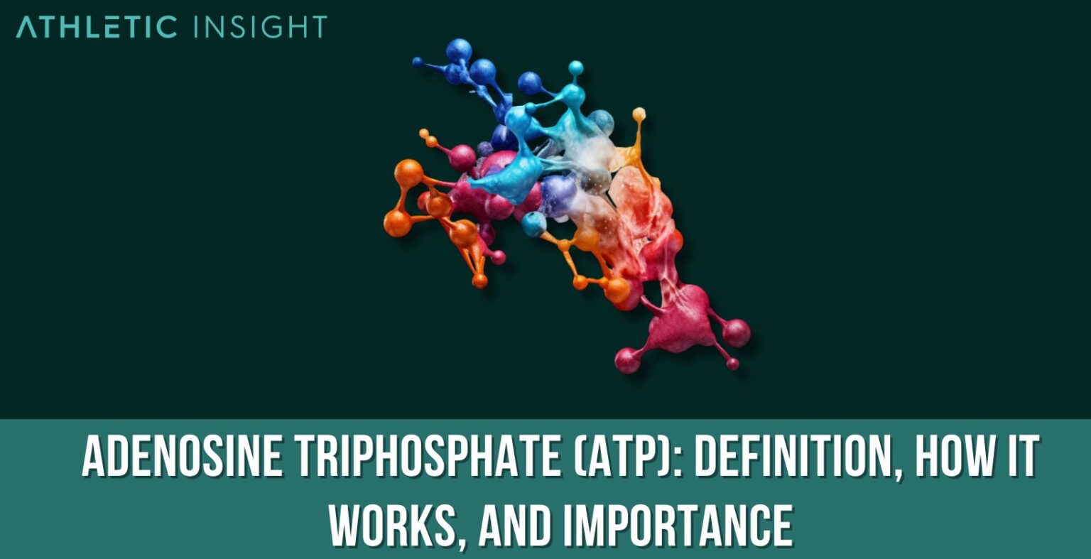 Adenosine Triphosphate Atp Definition How It Works And Importance Athletic Insight