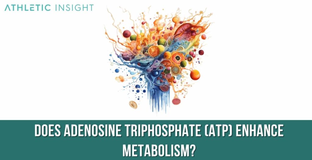 Adenosine Triphosphate (ATP): Definition, How it Works, and Importance ...