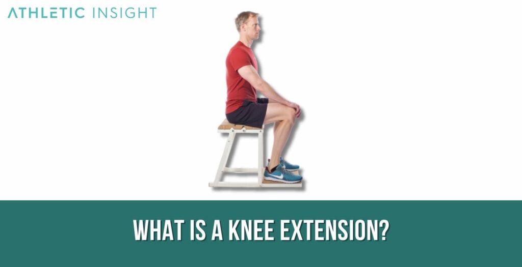 Knee Extension: Definition, How It Works, Best Knee Extension Workouts ...
