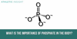 Phosphate: Definition, Importance, and Uses - Athletic Insight