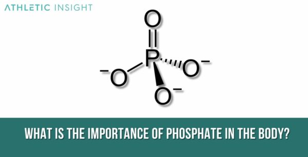 Phosphate: Definition, Importance, and Uses - Athletic Insight