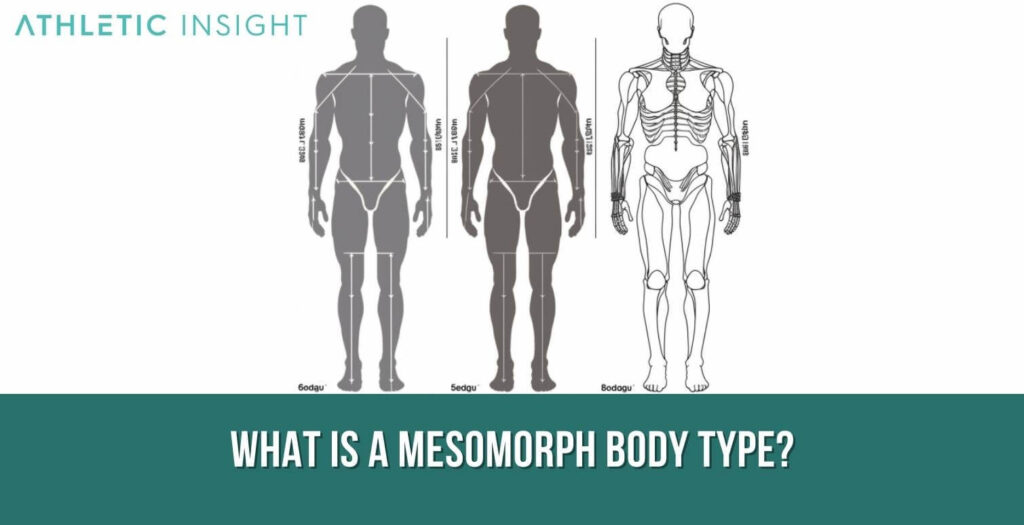 Mesomorphic Definition