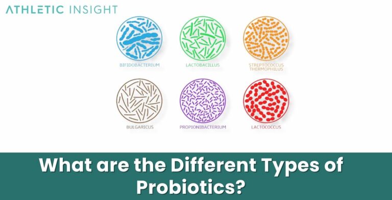 Probiotics: Definition, How it Works, Role, Usage, and Benefits ...