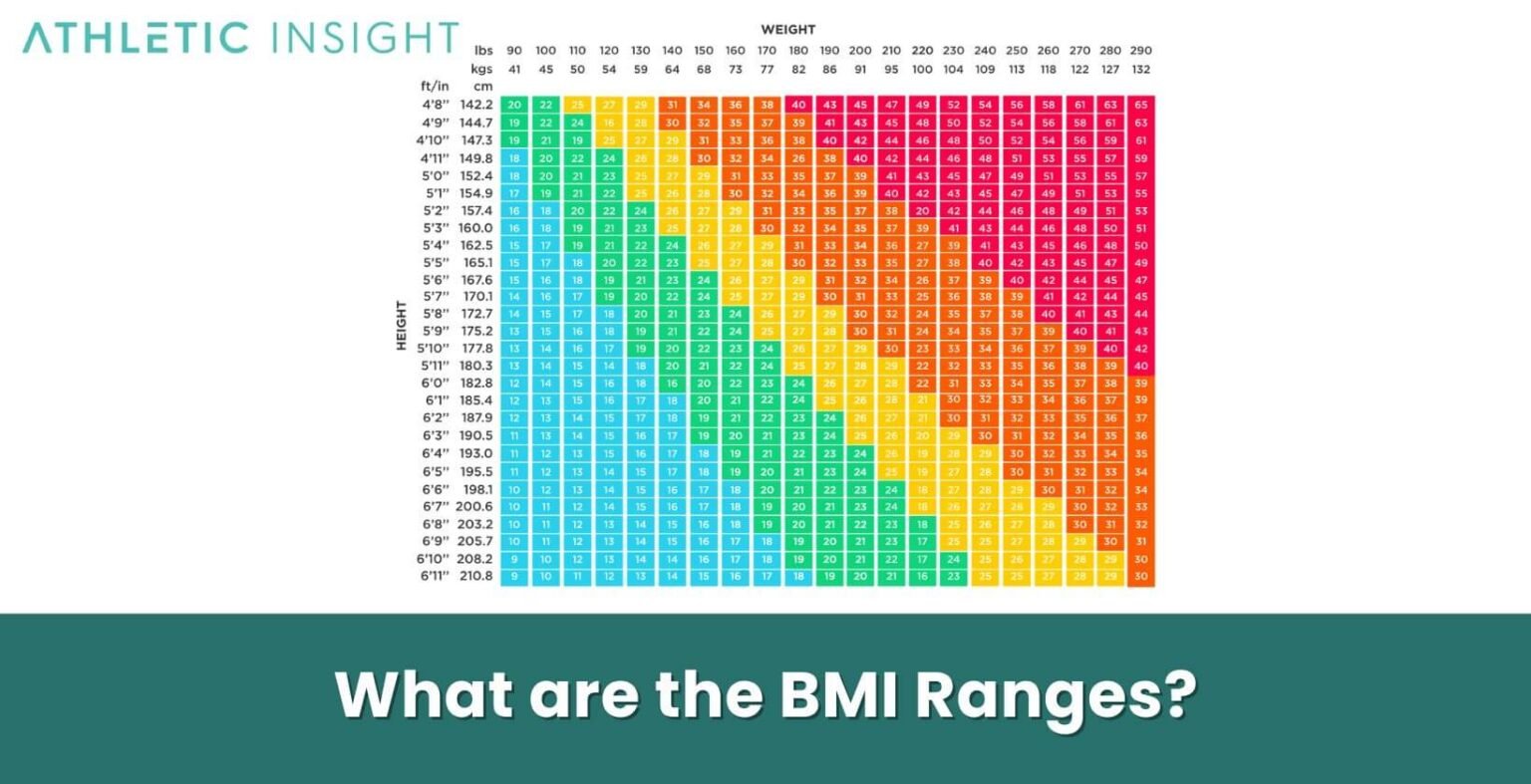 Body Mass Index or BMI: What is it? - Athletic Insight