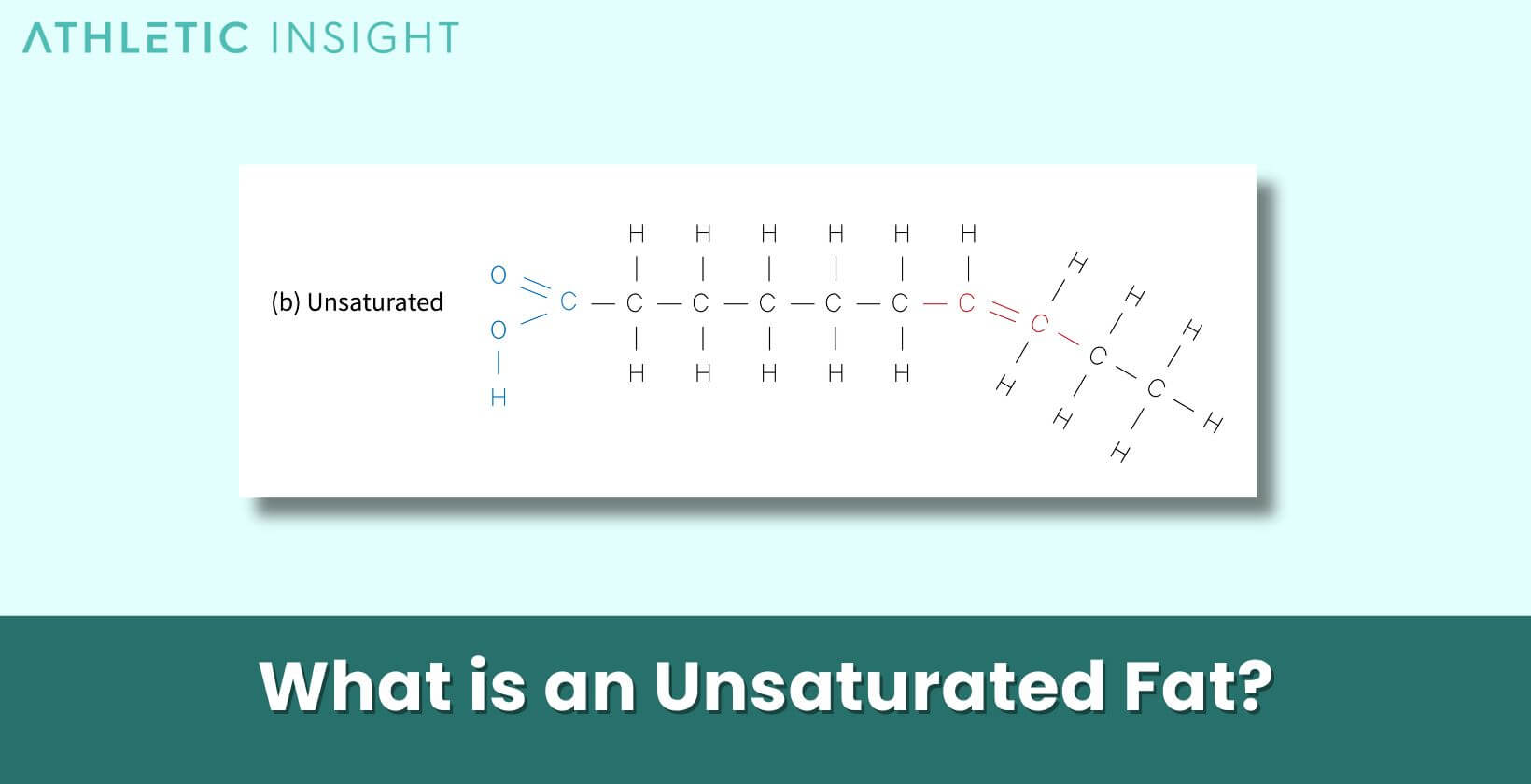 What Is The Chemical Structure Of Unsaturated Fats Infoupdate What Is The Chemical Structure Of Unsaturated Fats Infoupdate