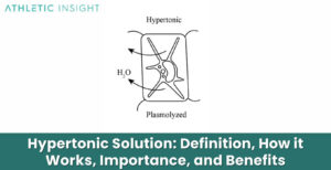 Hypertonic Solution: Definition, How it Works, Importance, and Benefits ...