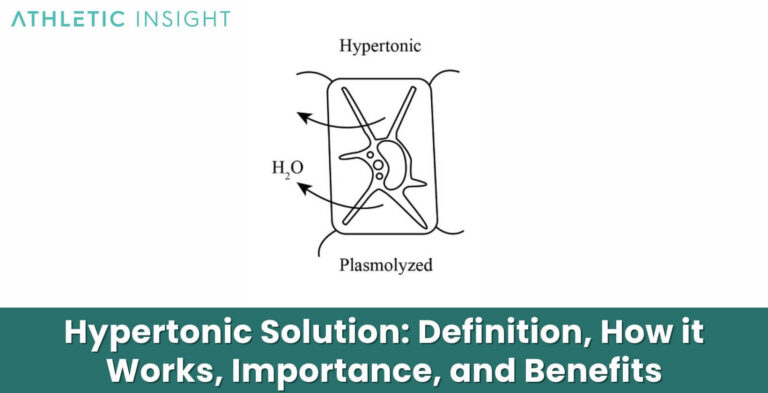 Hypertonic Solution: Definition, How it Works, Importance, and Benefits - Athletic Insight